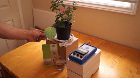 Can PolarAid increase Life Energy? | PolarAid Health